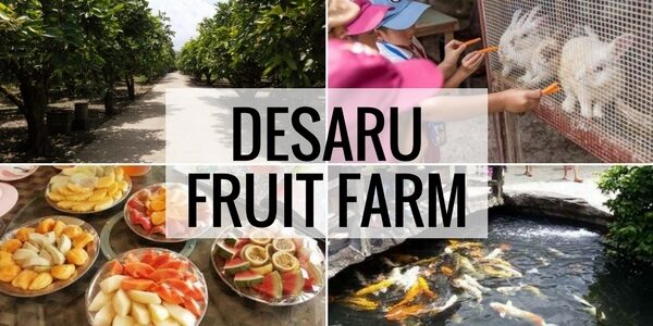 Desaru Fruit Farm: 10 Fun Things To Do In Farm On Your First Visit