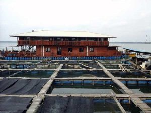 9 Fishing Kelong in Johor (Fishing Experts' Top List)