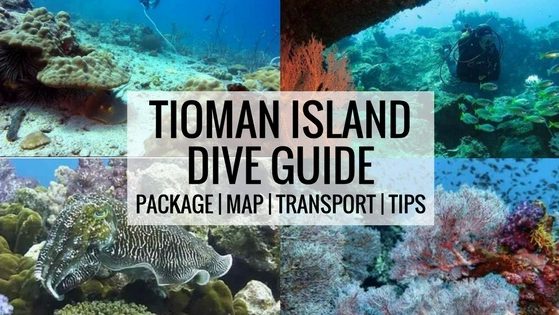 Tioman Diving Guide & Tips: 7 Things To Know Before Your First Dive