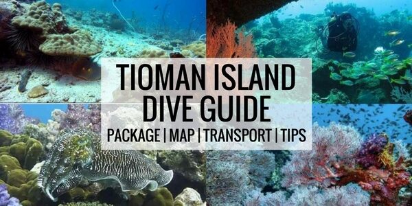 Tioman Diving Guide & Tips: 7 Things To Know Before Your First Dive