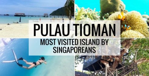 Teluk Gading Jetty Guide (Photos 2024 Updated)