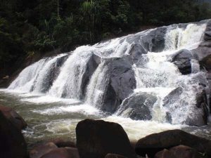 Endau Rompin: What To Do, How To Get There & Where To Stay